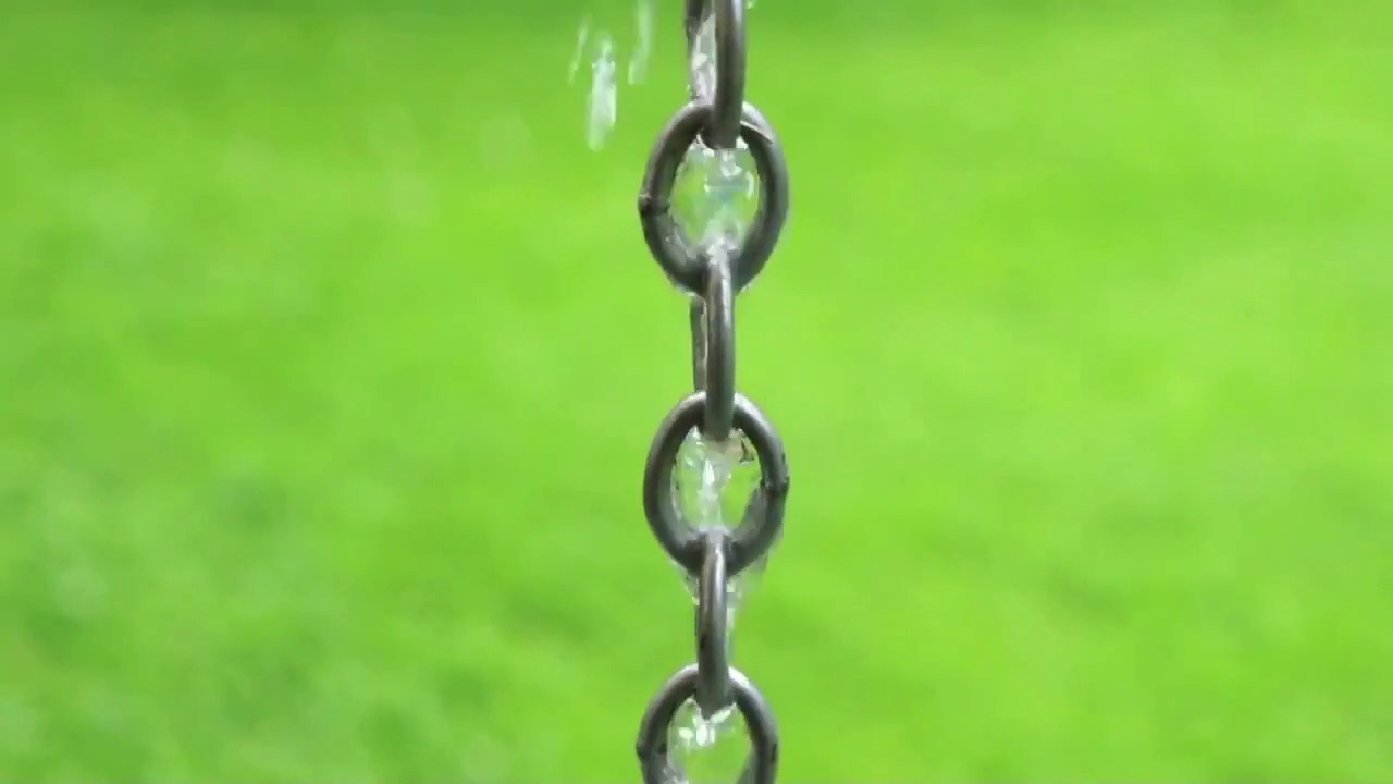 David Delrahim- Water the DNA of life. - YouTube