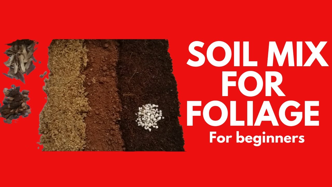 || DIY SOIL MIX FOR FOLIAGE PLANTS || - YouTube