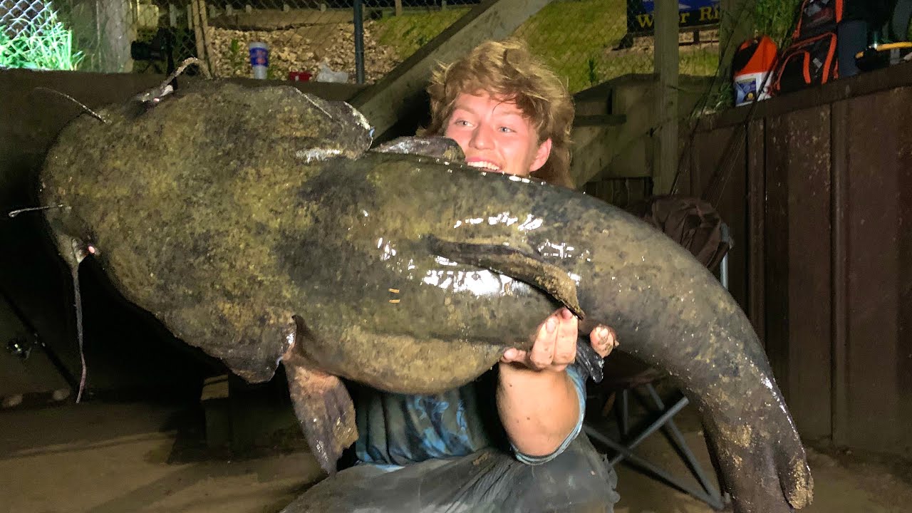 Fishing a Dam for Huge FLATHEAD CATFISH! (Shore Fishing) - YouTube