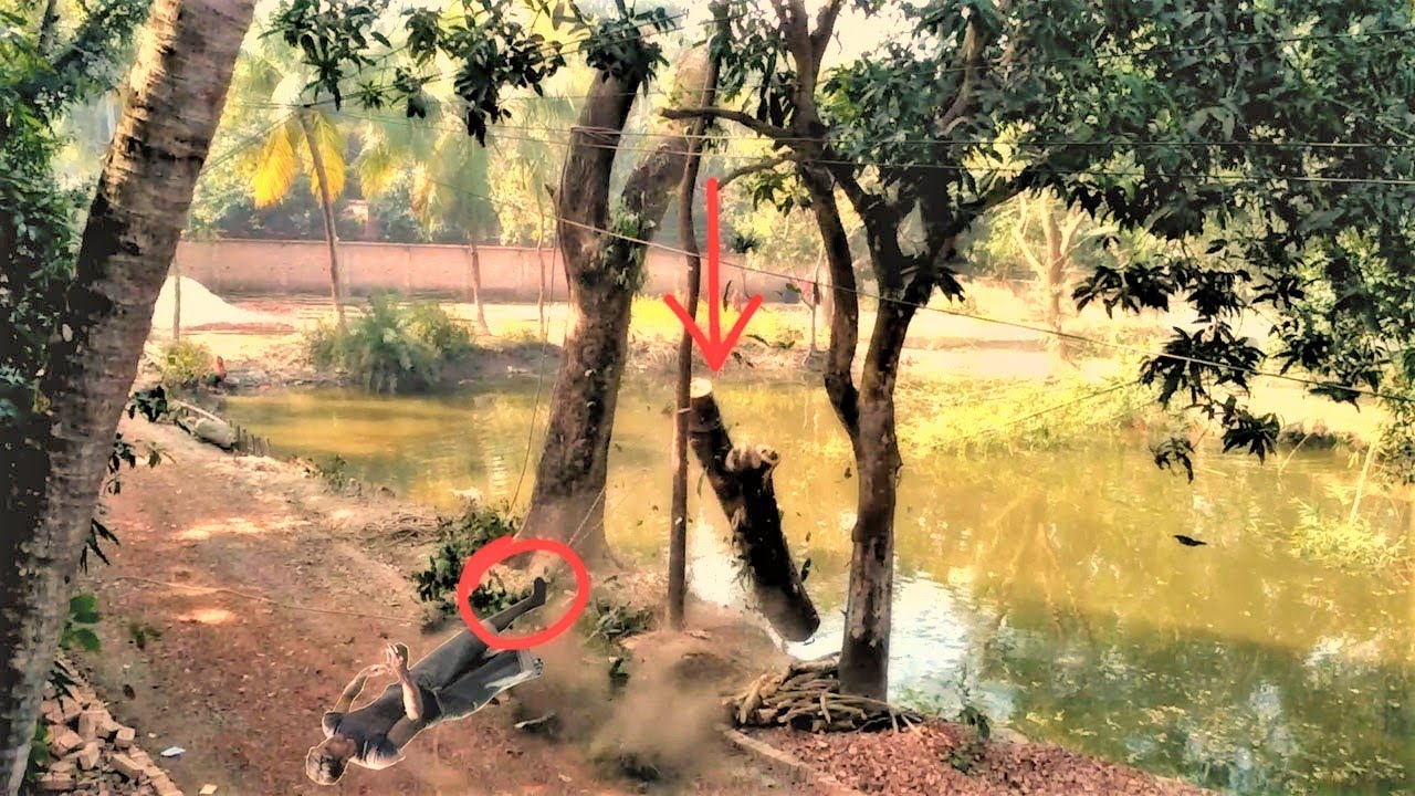 Dangerous Tree Cutting Fails in Village | falling huge tree | Fails ...