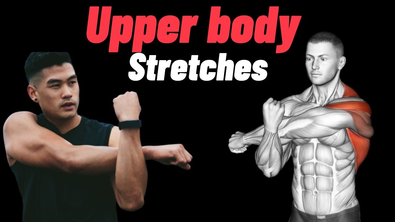 Upper Body Flexibility: A Complete Stretching Routine - YouTube