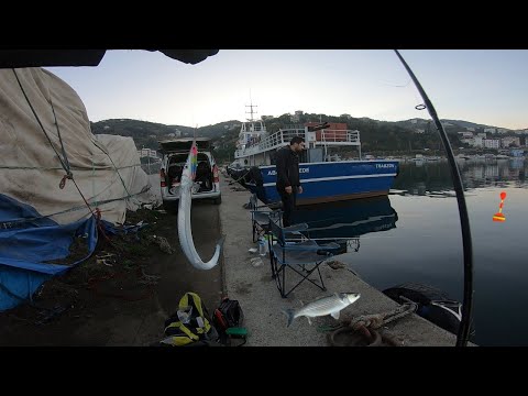 Kıyıdan AT-ÇEK Yaparak İnanılmaz Balıklar Yakaladık || Zargana, Kefal, İstavrit