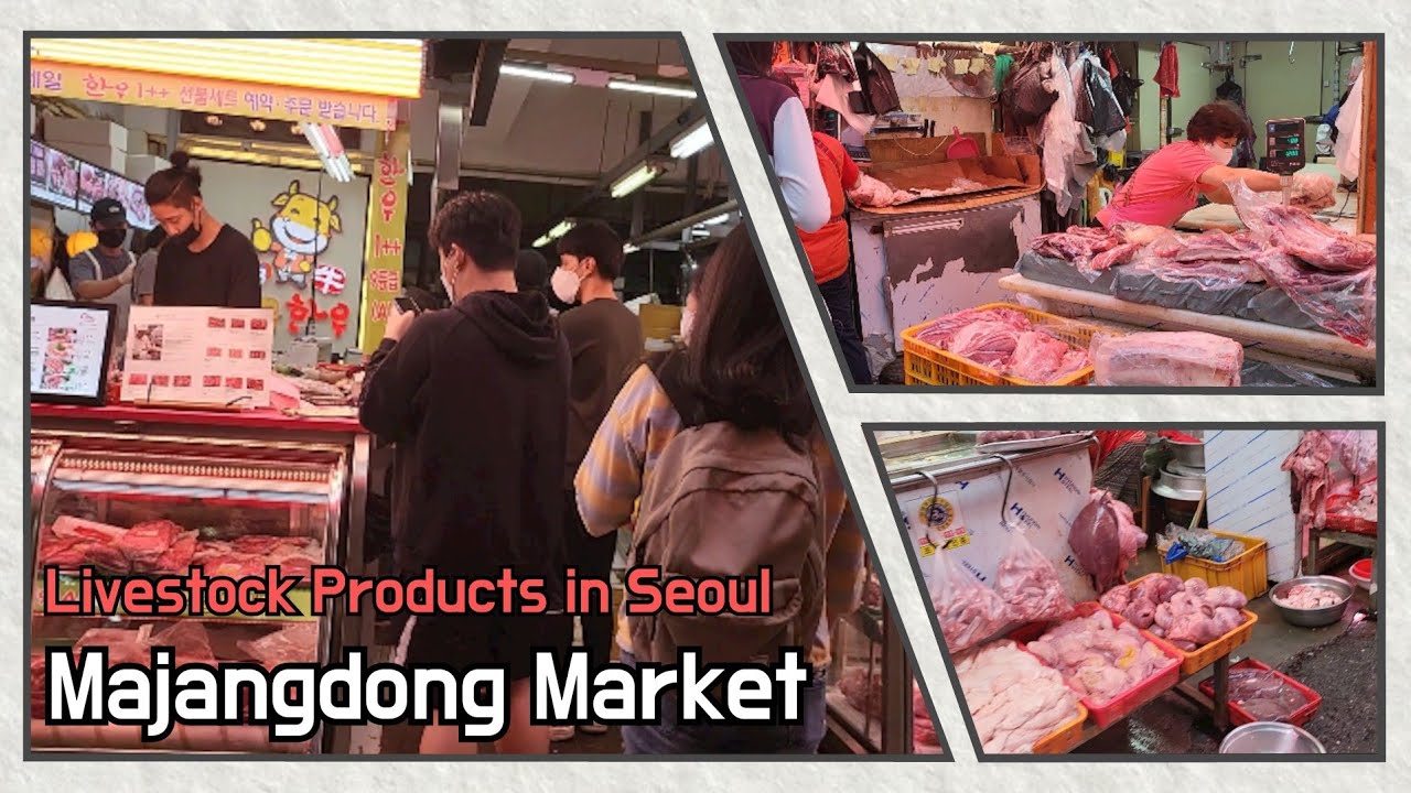 Majang-dong Livestock Products Market ( 마장동축산물시장 ) - YouTube