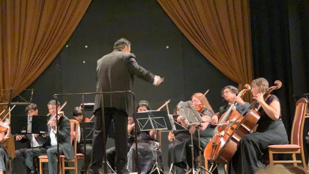 Hungarian Dance No. 5 for String Orchestra. Direction - Michael Makhal ...