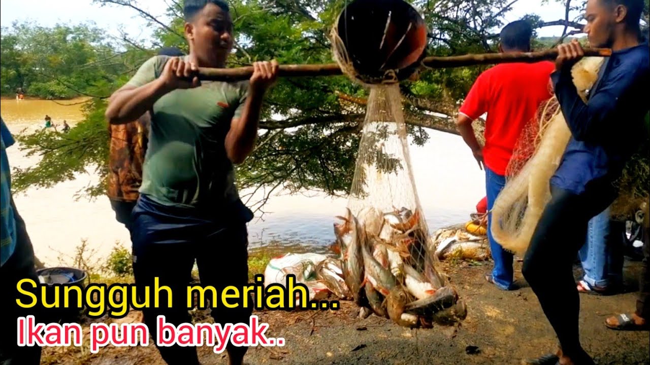 Pesta Menjala Lanchang//Estet ikan Paya Lanar Pahang//23.10.2022 - YouTube