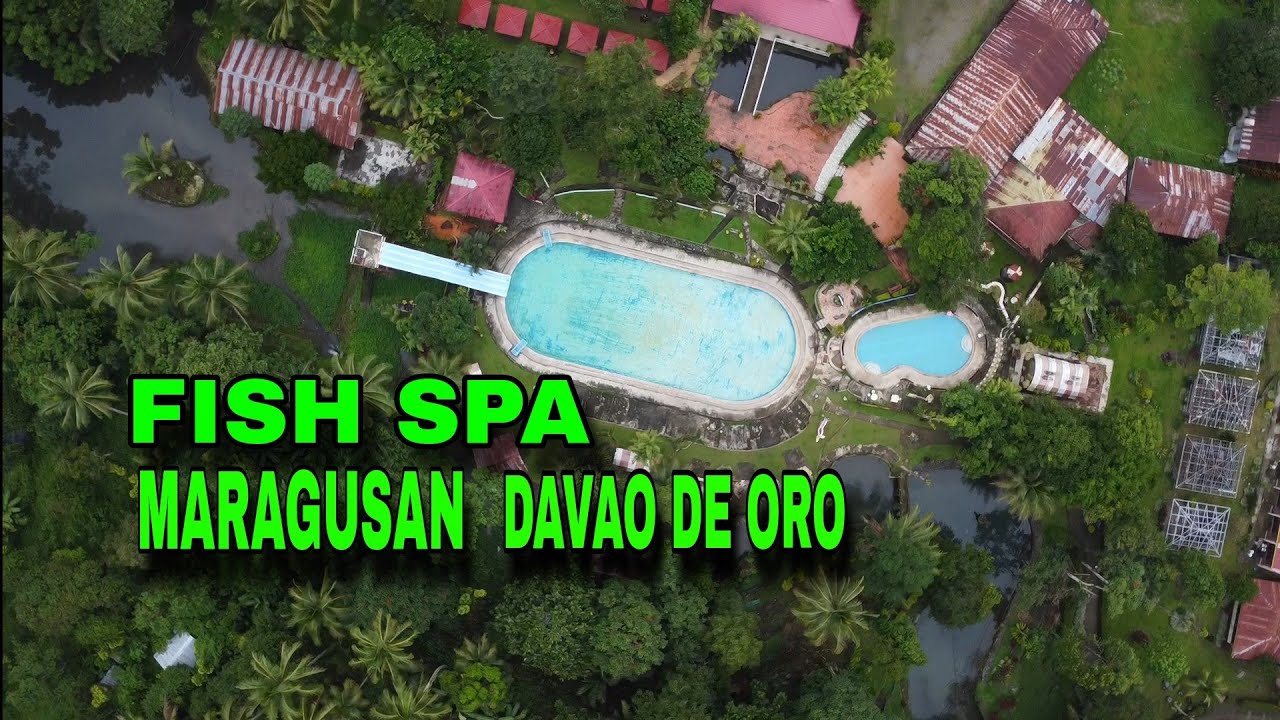 AGUAKAN COLD SPRING RESORT / MARAGUSAN DAVAO DE ORO / AERIAL CINEMATIC ...