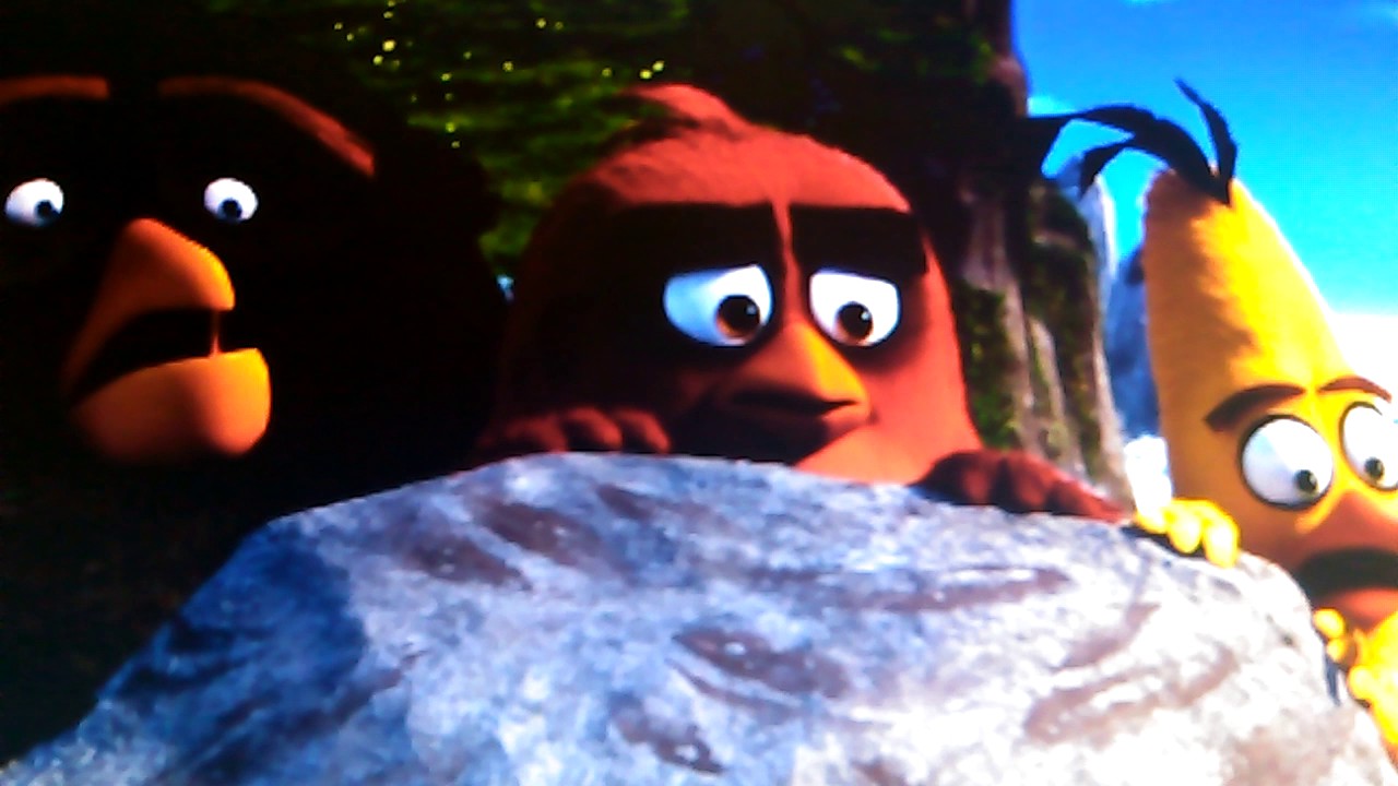 Mighty Eagle takes a pee break (funny) - YouTube