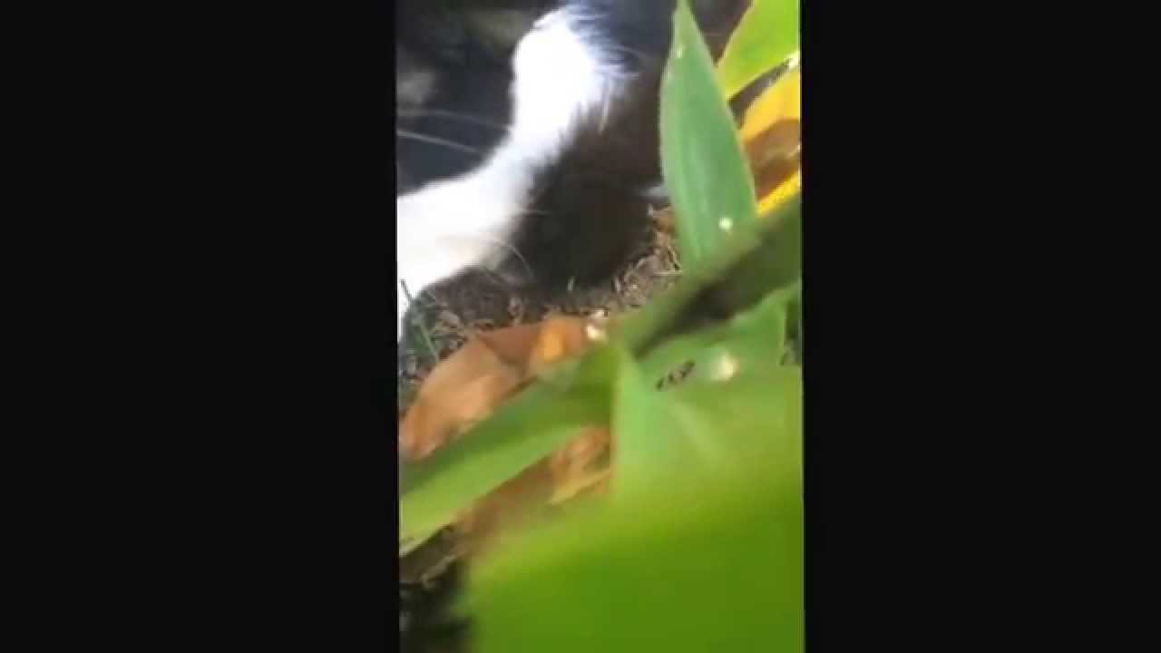 May 12, 2015 - YouTube