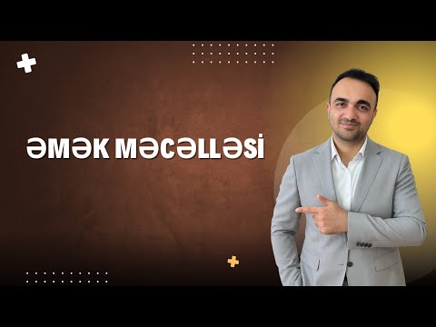 Dövlət Qulluğu | Əmək Məcəlləsi (Qısa İzah)