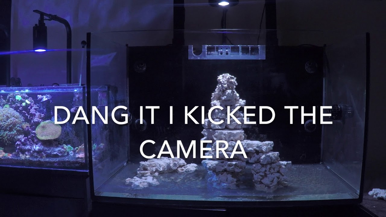 Red Sea E-260 Build- Aquascape - YouTube