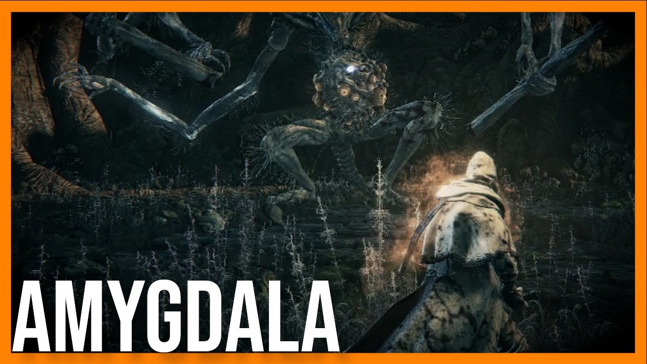 Bloodborne Boss Battles - Amygdala - YouTube
