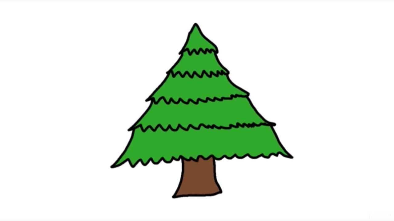 Cara Menggambar Pohon Pinus | How to Draw a Pine Tree - YouTube