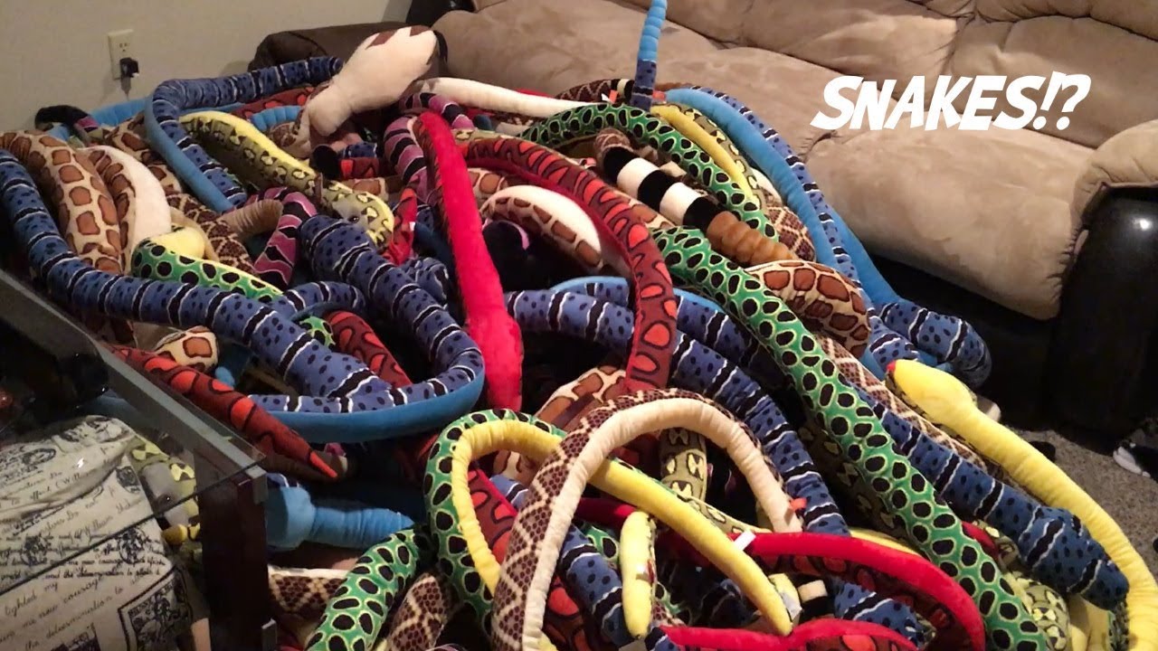 What to do when you have 100 snakes - YouTube