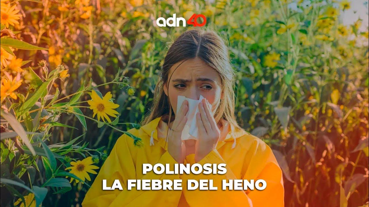 Polinosis: la fiebre del heno - YouTube