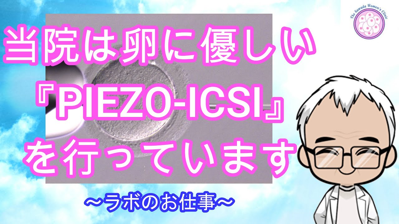 【体外受精】顕微授精（PIEZO-ICSI） - YouTube