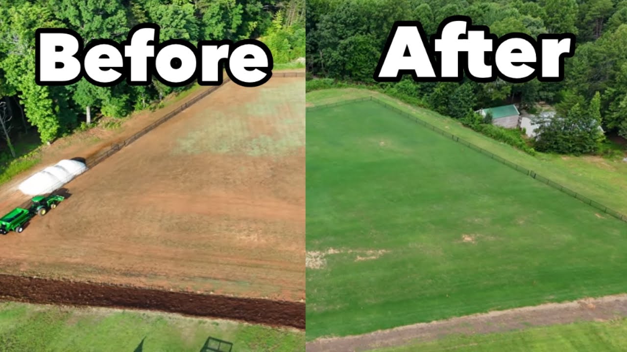 BEFORE & AFTER Bermudagrass RESULTS are AMAZING! - YouTube