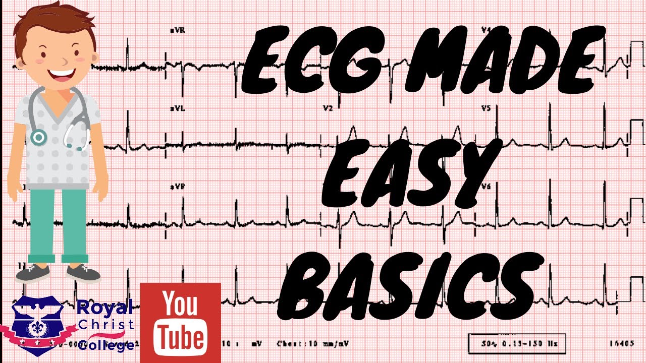 Cardiology ECG How To Read ECG EKG Basics Step By Step Guide YouTube