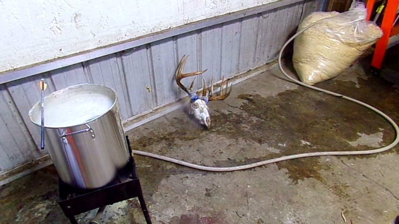 Skull boil and Hydro Dip - YouTube