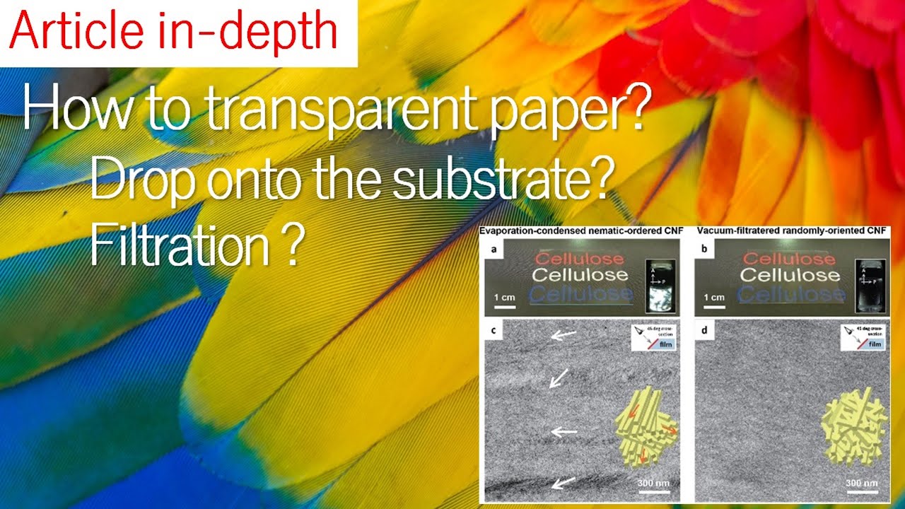 [ARTICLE 2018] How to make transparent paper? -"Filtration" or "Drop ...
