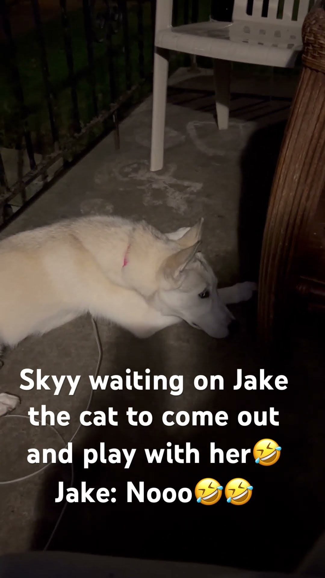 Skyy waiting on Jake to come play Jake said nooooo🤣🤣🤣 - YouTube