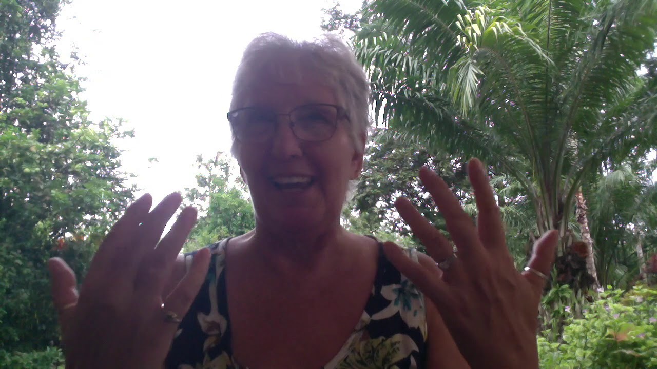 From Gringo To Tico - Introducing Rita's Guest House - YouTube