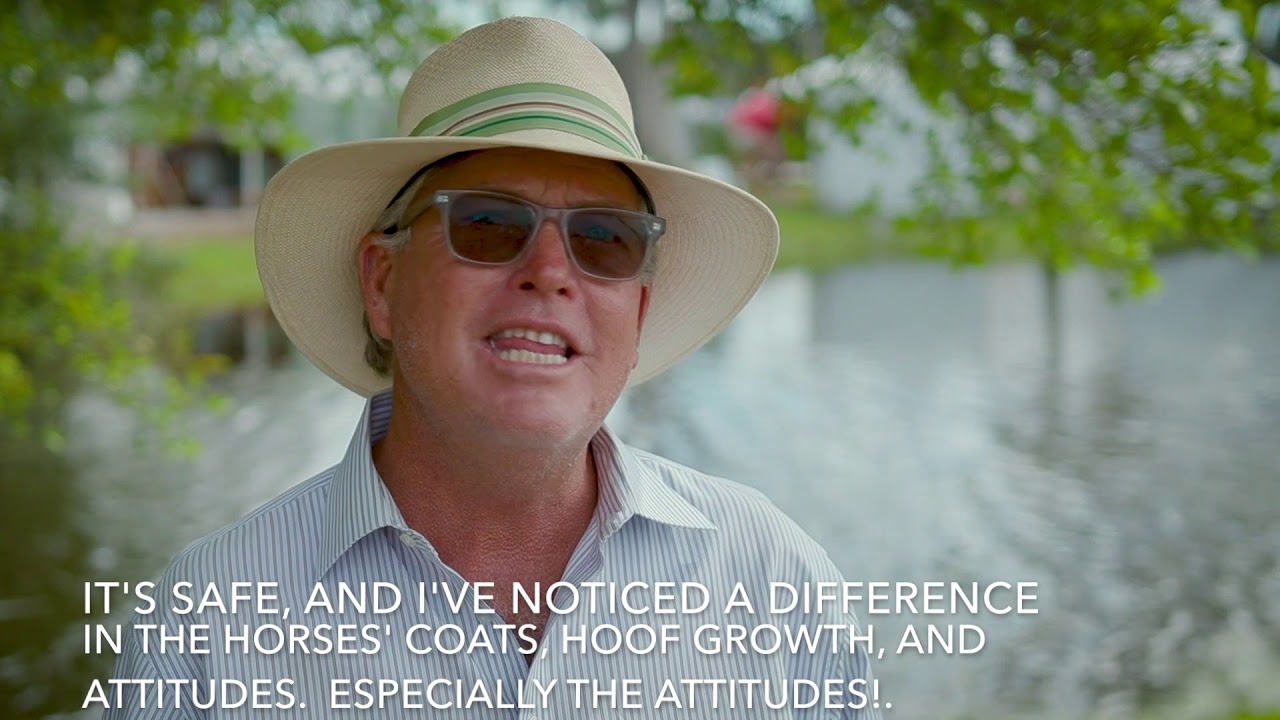 Bill Schaub Ulceraser Testimonial - Equine Elixirs - YouTube