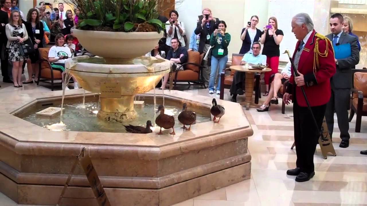 OCT 30, 2011 045 - YouTube