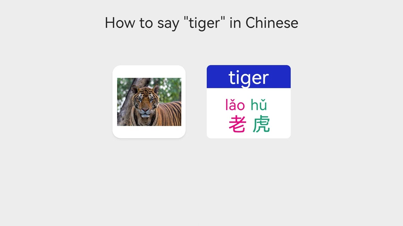 Vocabulary Wild Animal Names How To Say Tiger In Mandarin Chinese vocabulary-wild-animal-names-how-to-say-tiger-in-mandarin-chinese