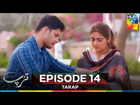 Tarap Episode 14