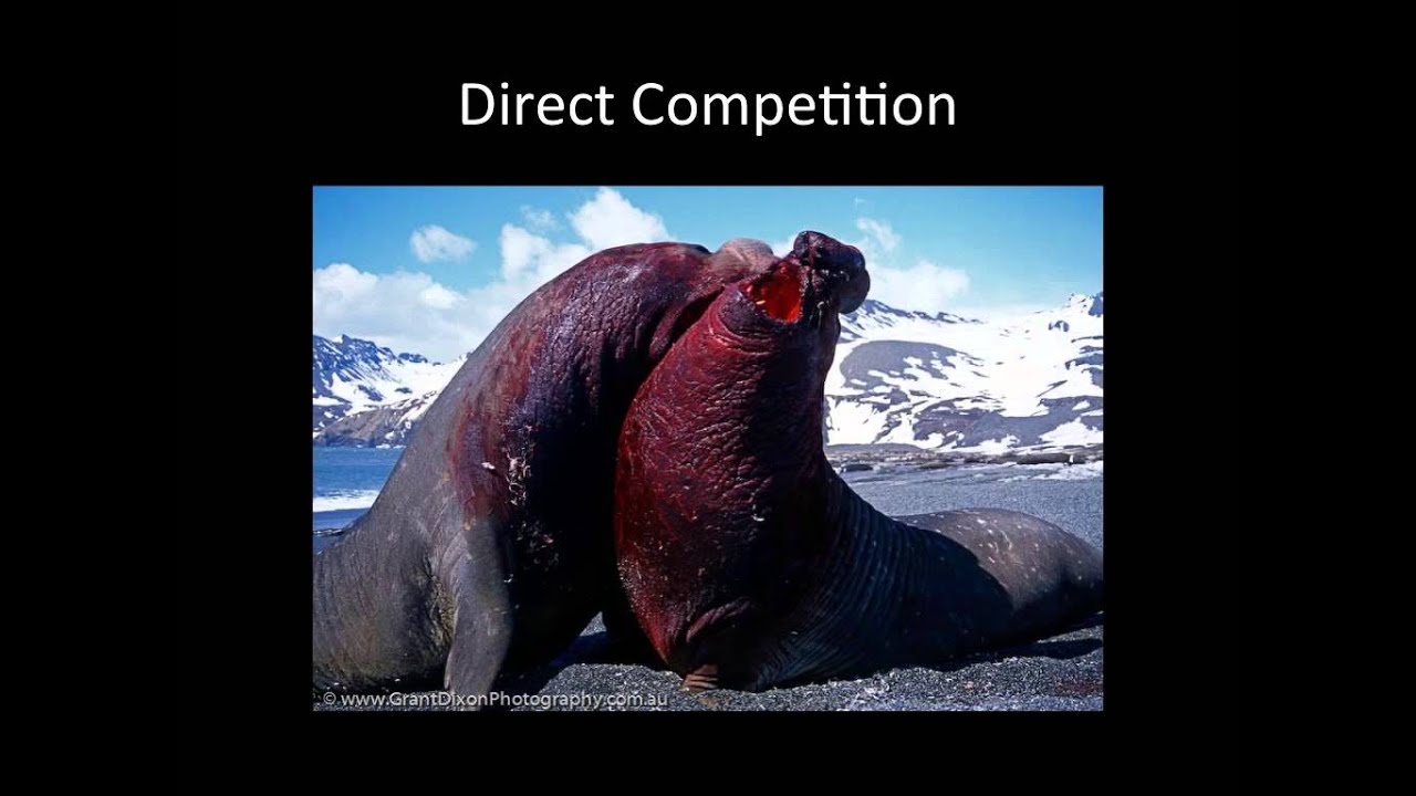 How Sex Drives Evolution Youtube 8835