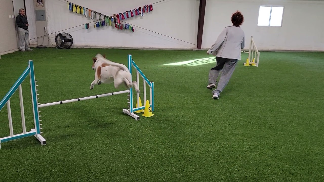 Allison and Addie Nov 2021 league - YouTube