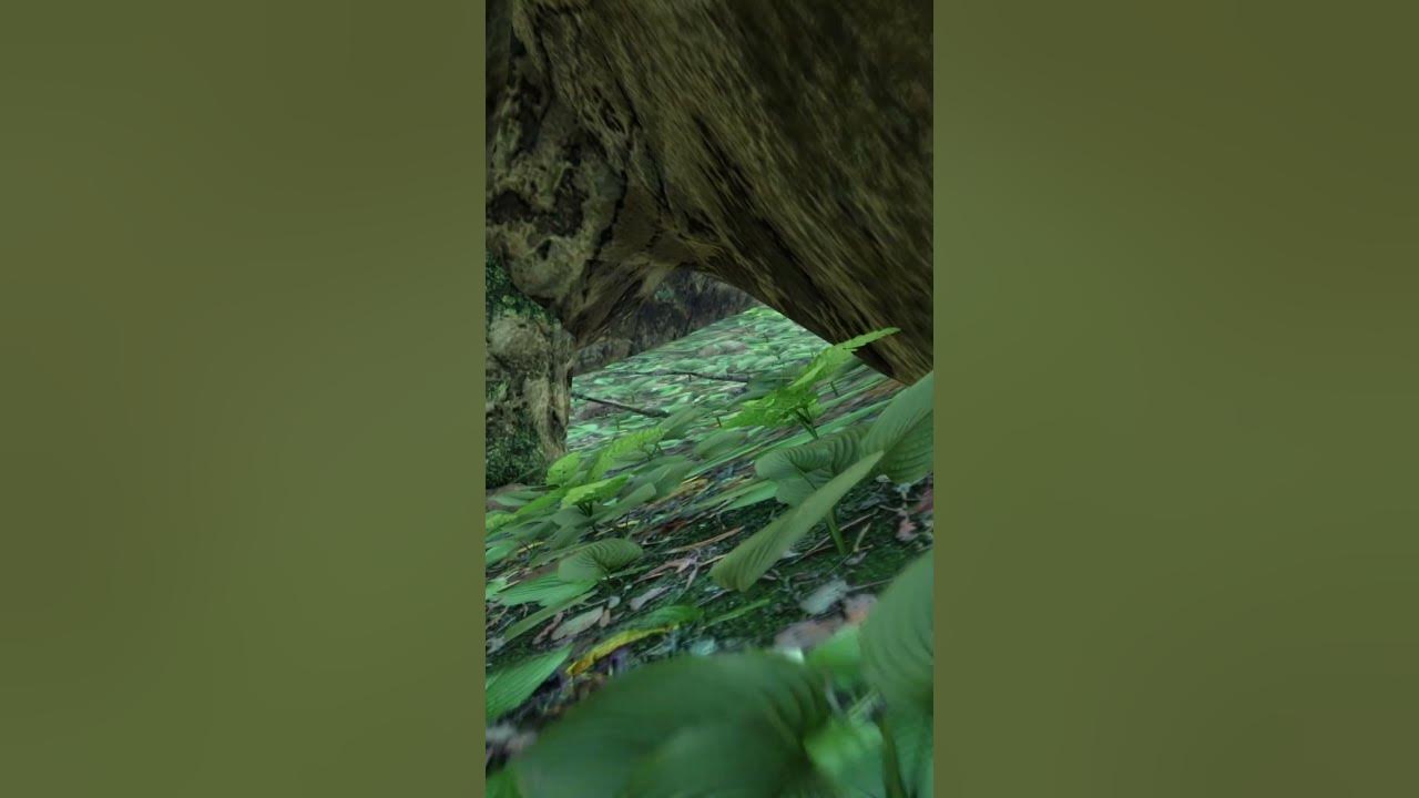 Hidden rathole on The Center, Ark survival Evolved base location - YouTube