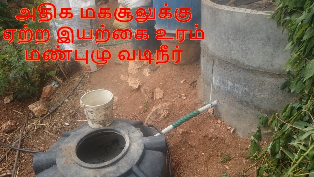 அதிக மகசூலுக்கு ஏற்ற இயற்கை உரம் மண்புழு வடிநீர் manpulu vadineer - YouTube