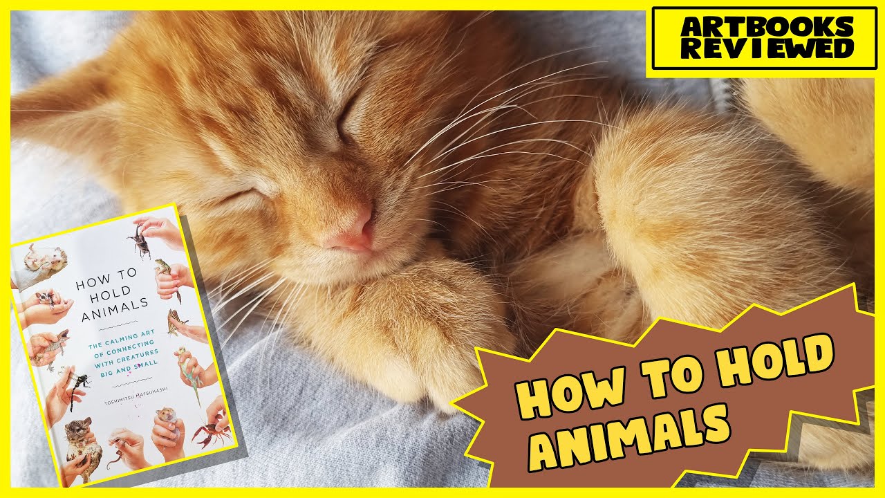 How to hold animals | 4K - YouTube