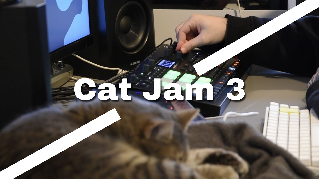 Cat Jam 3 Analog Rytm Techno Jam - YouTube