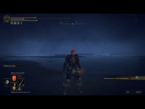 ER NaNa The Impaler VS Astel - YouTube