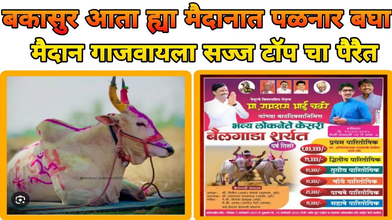 बकासुर पुढील या मैदानावर पळनार बघा टॉप चा पैरैत मैदान गाजवायला #बकासुर ...