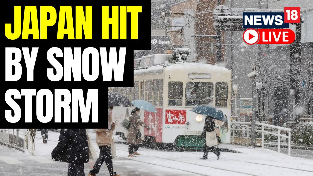 Japan Comes To A Standstill Following A Severe Snow Storm I Trains And ...