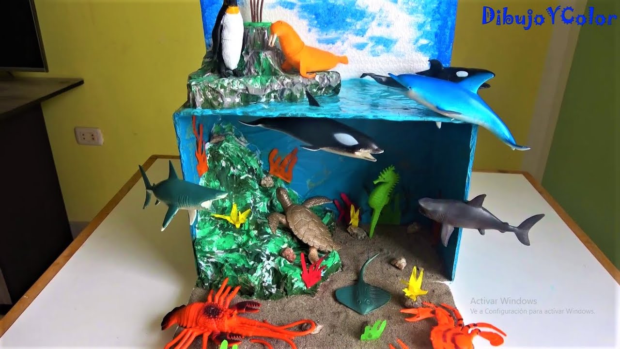Como Hacer Maqueta De Ecosisitema Marino Diorama Dibujoycolor Youtube