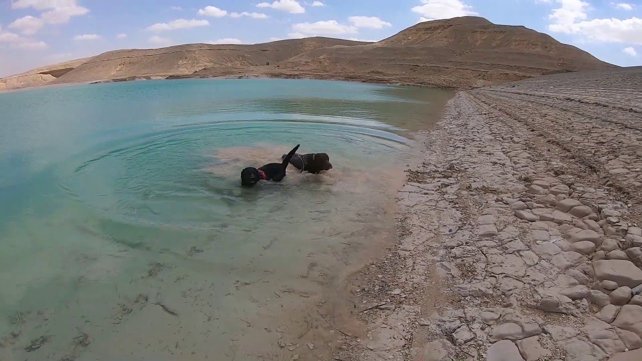 Wadi Degla - The Lake - YouTube