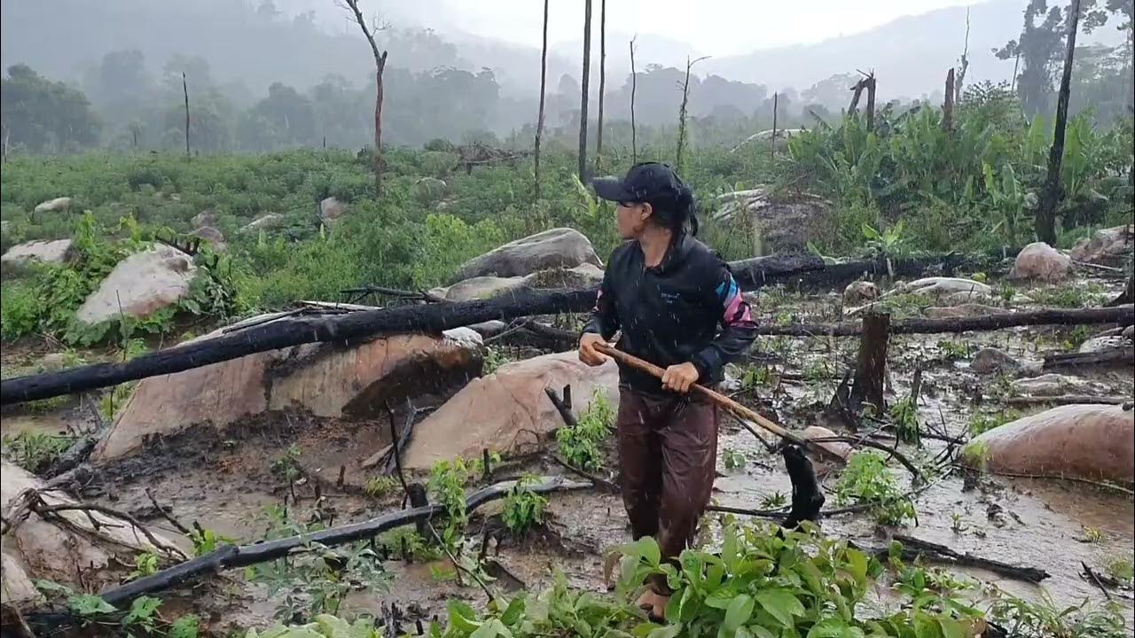 hnub no mus ua teb dua ntuj lo nag loj heev li o - YouTube