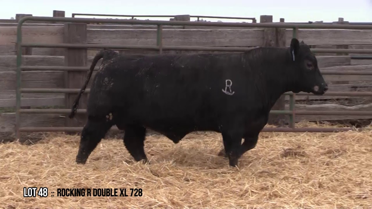 Lot 48 Rocking R Double XL 728 - YouTube