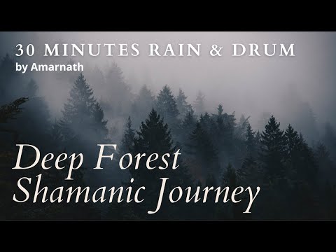 Deep Forest Shamanic Journey 30 minutes | Soothing Rain | Shamanic drum | Meditation | Relax | Sleep