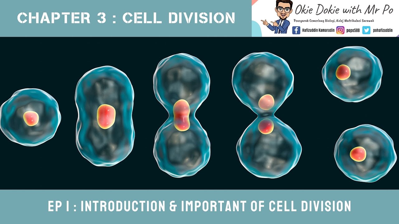 Chapter 3 EP 1 / Sem 1 : Introduction & Importance of Cell Division ...