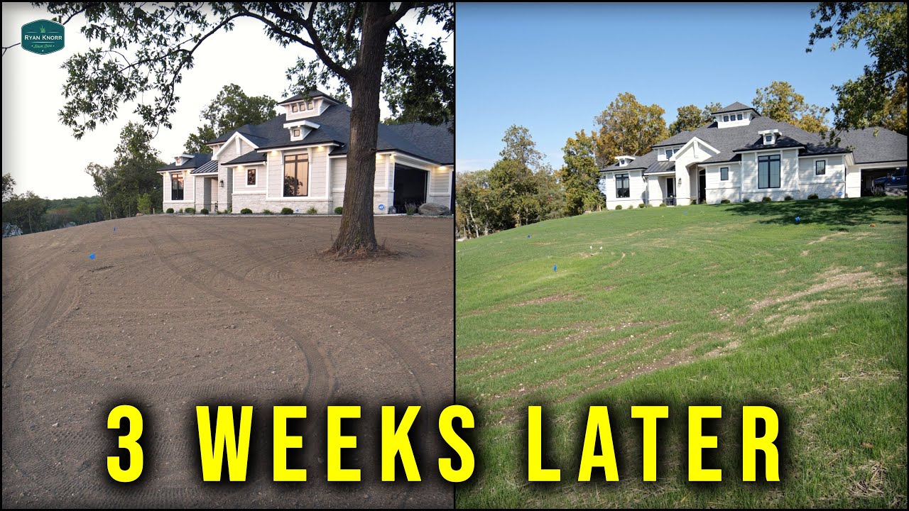 Lawn Renovation RESULTS Just 3 Weeks Later - YouTube