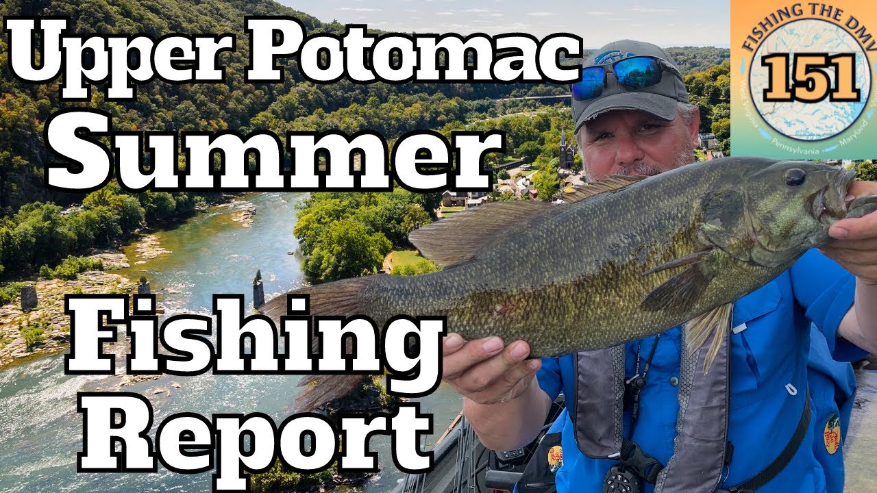 Upper Potomac River Summertime Fishing Report with Shallow Water ...