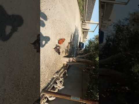 Çox yaxşı döyüş oldu