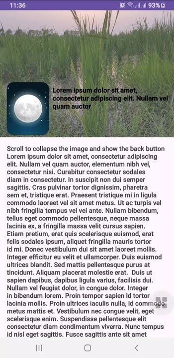 Collapsing Toolbar Layout in Android | Free Source Code | Android Studio Tutorial #shorts # ...