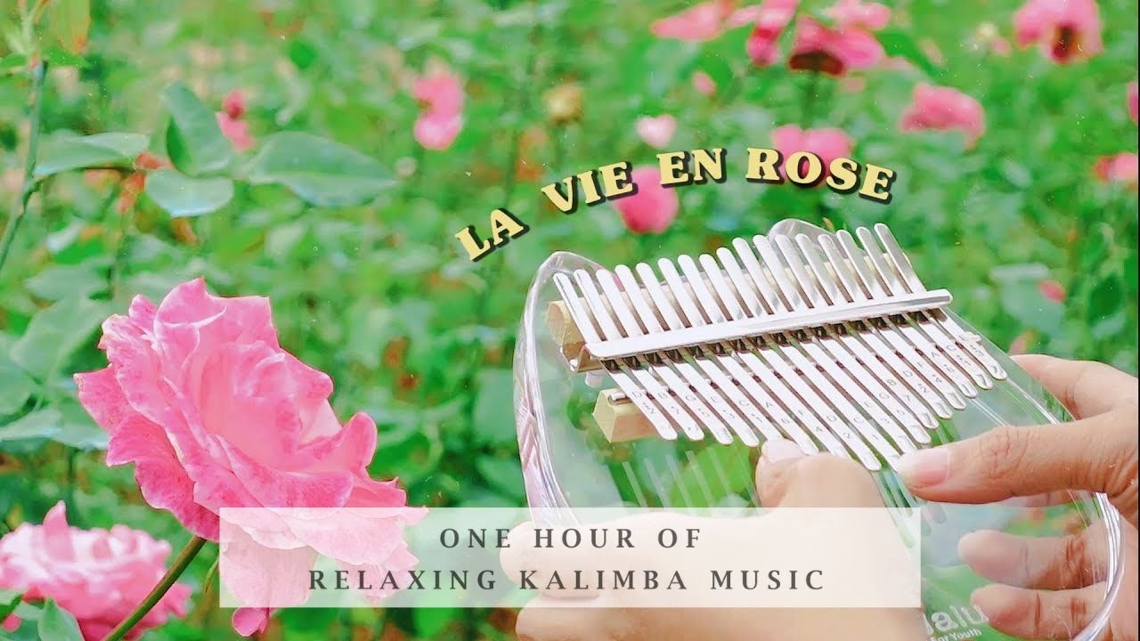 【1 HOUR】 La Vie En Rose Relaxing Kalimba Cover for Sleeping, Studying ...