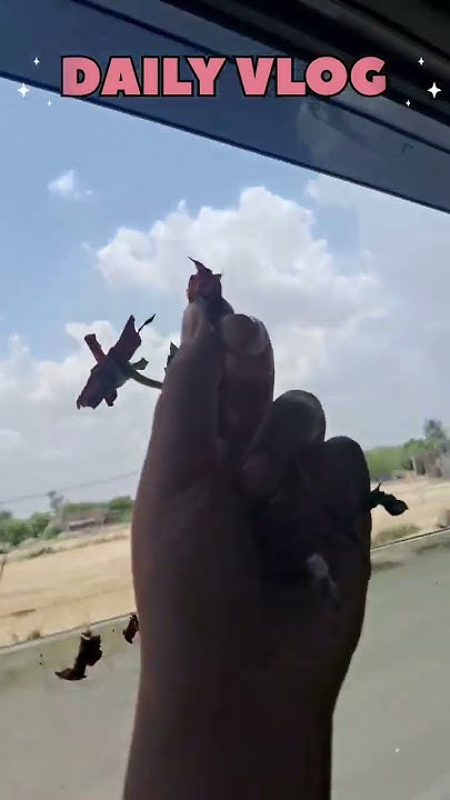 Daily Vlog ~5♡ #likeandsubscribe #youtubeshorts #viral #famous #dailyvlog #minivlog #hostel ...